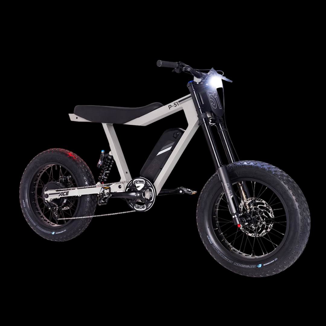 P-51 ACE – Ronster Rides