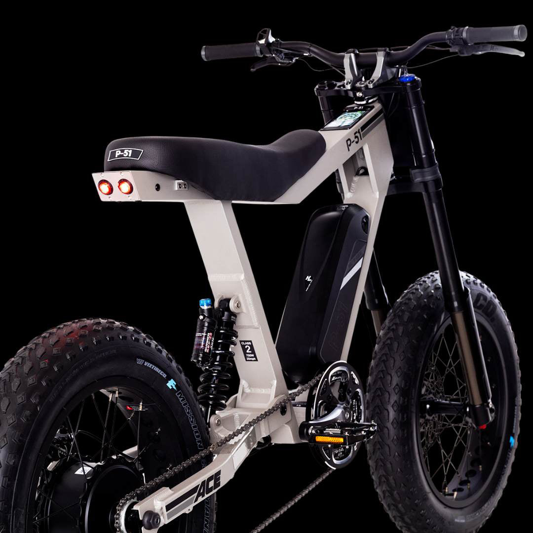 P-51 ACE – Ronster Rides