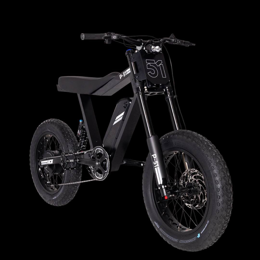 P-51 ACE – Ronster Rides