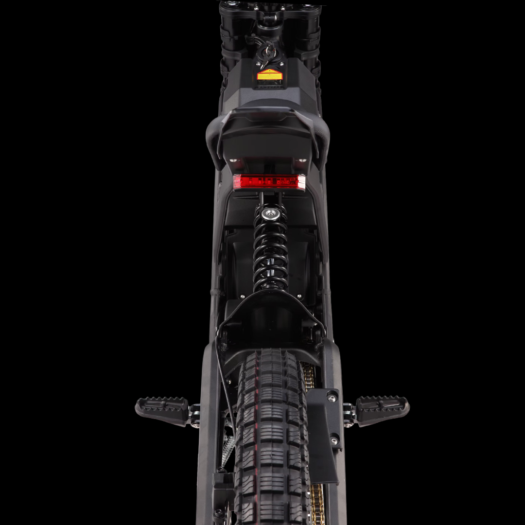 E-Ride Pro S 17” – Ronster Rides